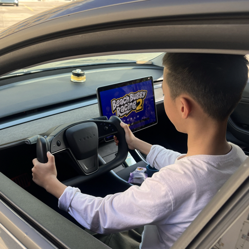 特能行科技-Tesla 