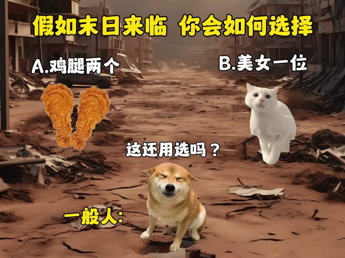 世界末日你的选择是什么