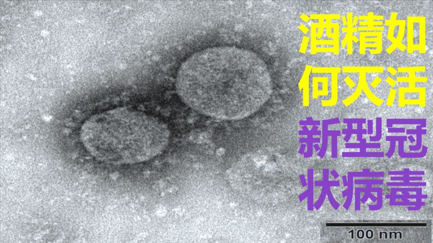 酒精主要用来杀菌,为什么能对新型冠状病毒有灭活效果?