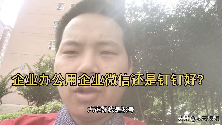 企业办公用企业微信还是钉钉好?波哥和你聊一聊!