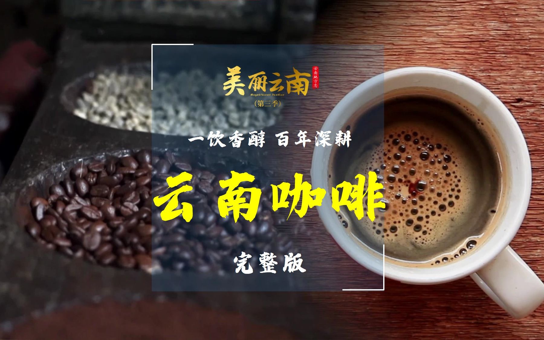 一饮香醇 百年深耕——云南美物:云南咖啡 (完整版) | 美丽云南第三季