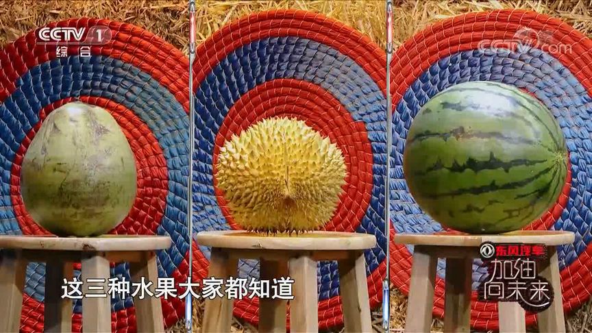 嘉宾现场秀传统弓箭射箭魅力,三箭射穿目标水果,箭箭中靶心