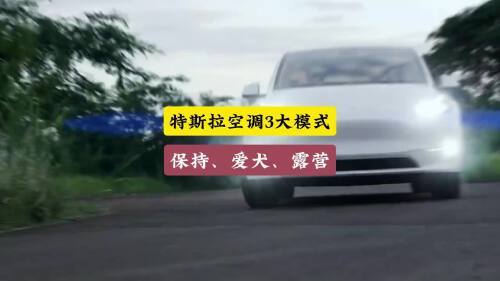 特斯拉空调3大模式保持爱犬露营一个视频教会你应该如何设更省电