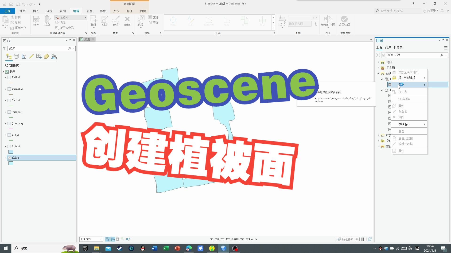 GIS实习作业——创建植被面
