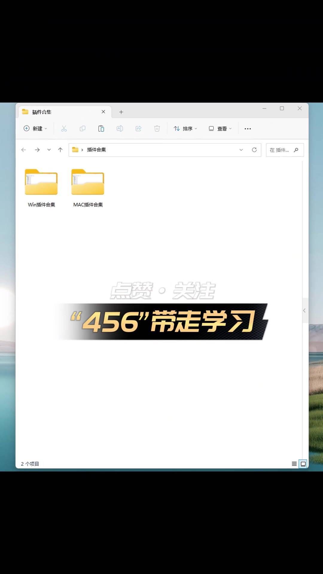 设计师必备,最全插件合集,一键安装ps各种插件!