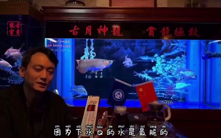 鱼缸杀菌灯的正确使用,你用对了吗?今晚8:00继续直播…