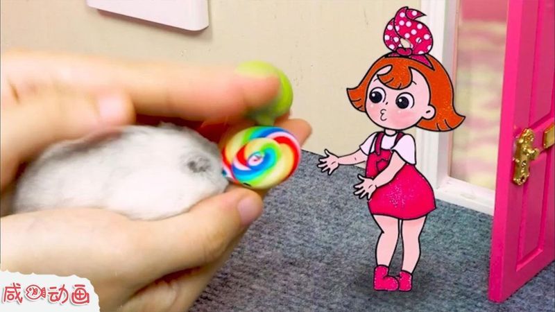 趣味定格动画:胆小的小美遇到调皮的仓鼠,这下可把小美给吓坏了