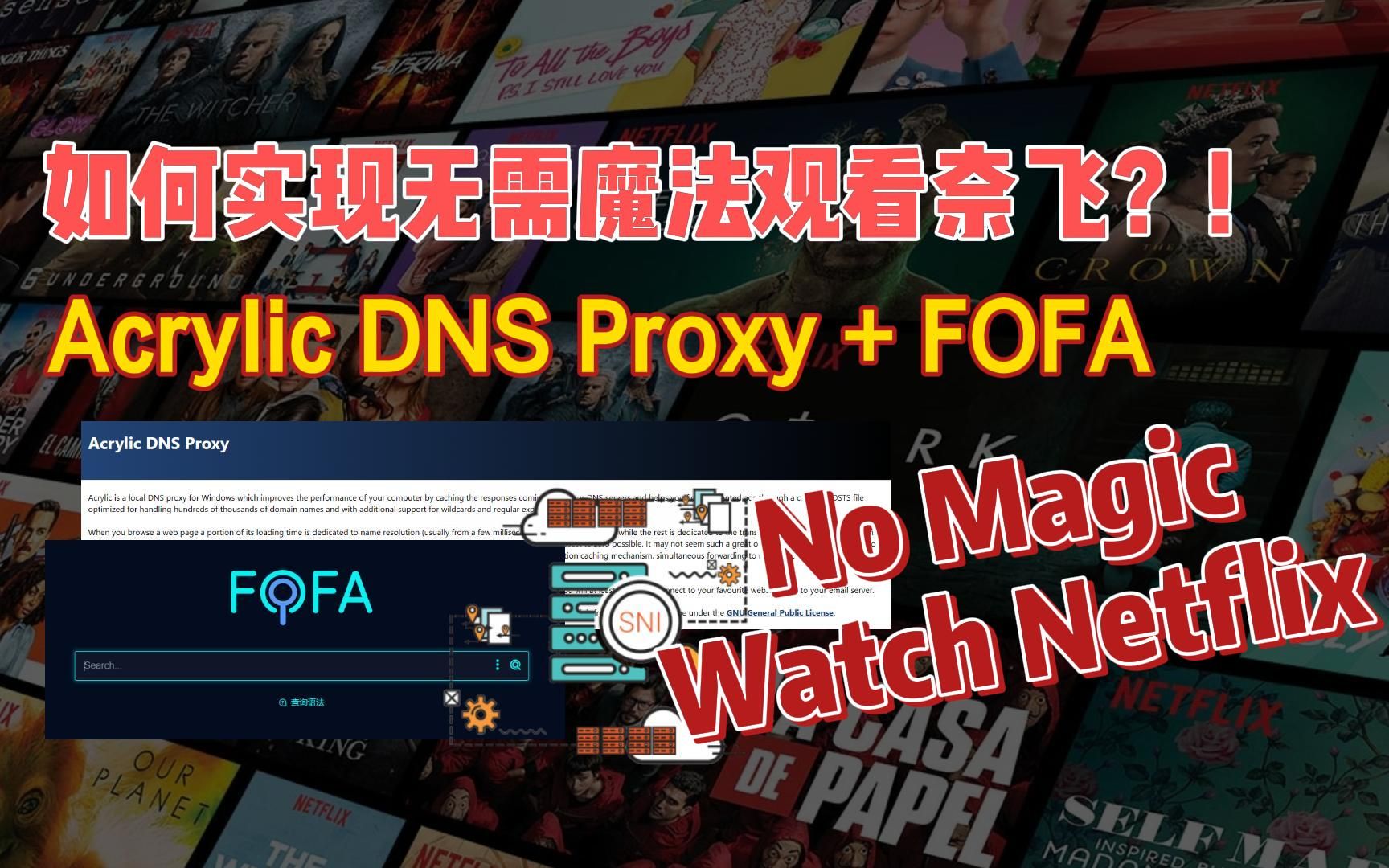 如何实现无需魔法观看奈飞?Acrylic DNS Proxy+FOFA