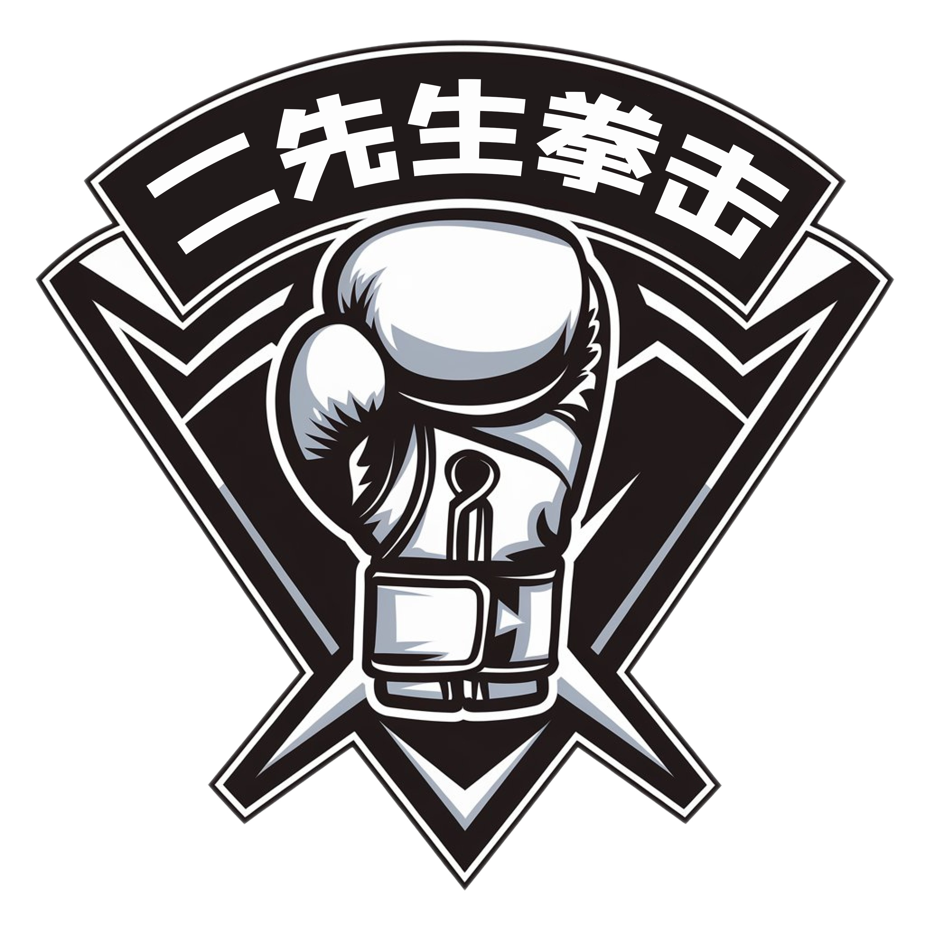 二先生拳击 
