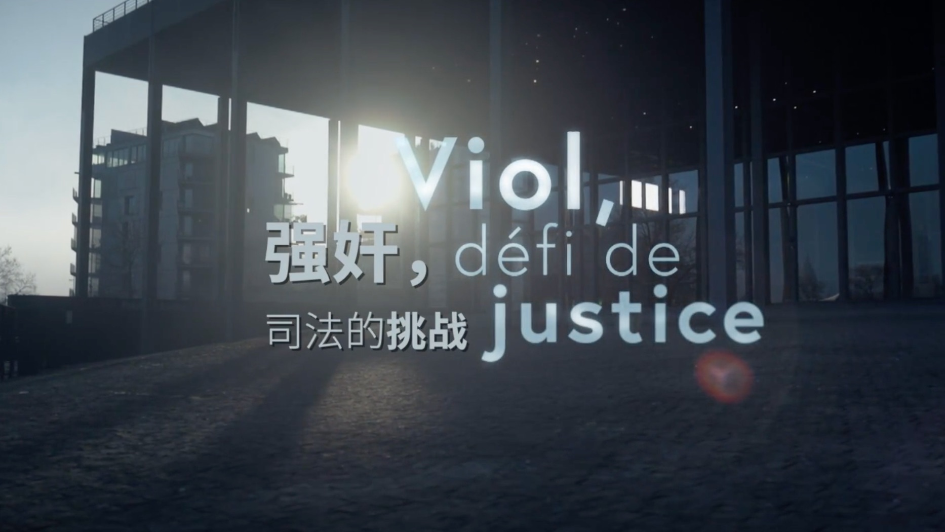 中法双语|难以裁决的一类诉讼,庭审纪实关于性侵的审判