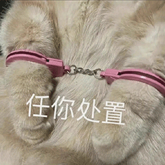 暗中暴富ing 