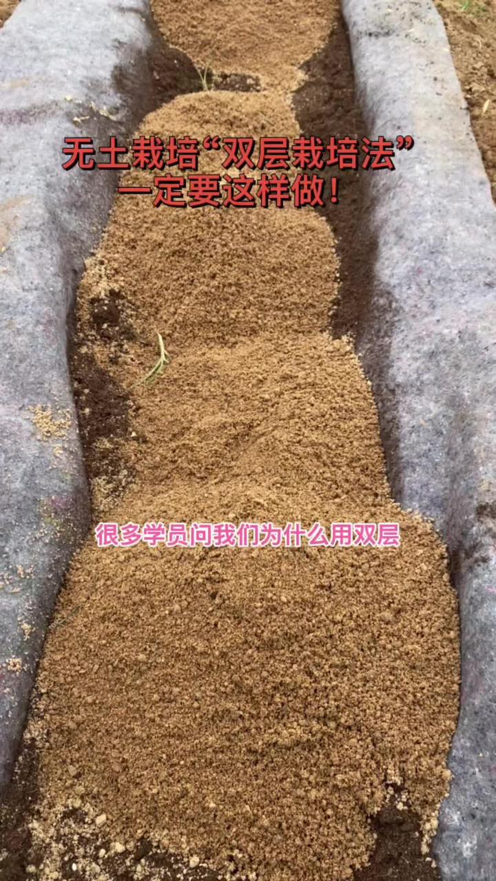 简易无土栽培“双层栽培法”,一定要下部基质上部沙子,知道为什么吗?...
