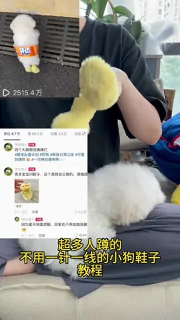 自制超级简单的小狗鞋子教程!可爱到爆炸
