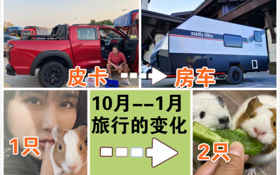 旅行3个月从皮卡→房车,宠物1只→2只,一个女生独自旅游→和更多人...