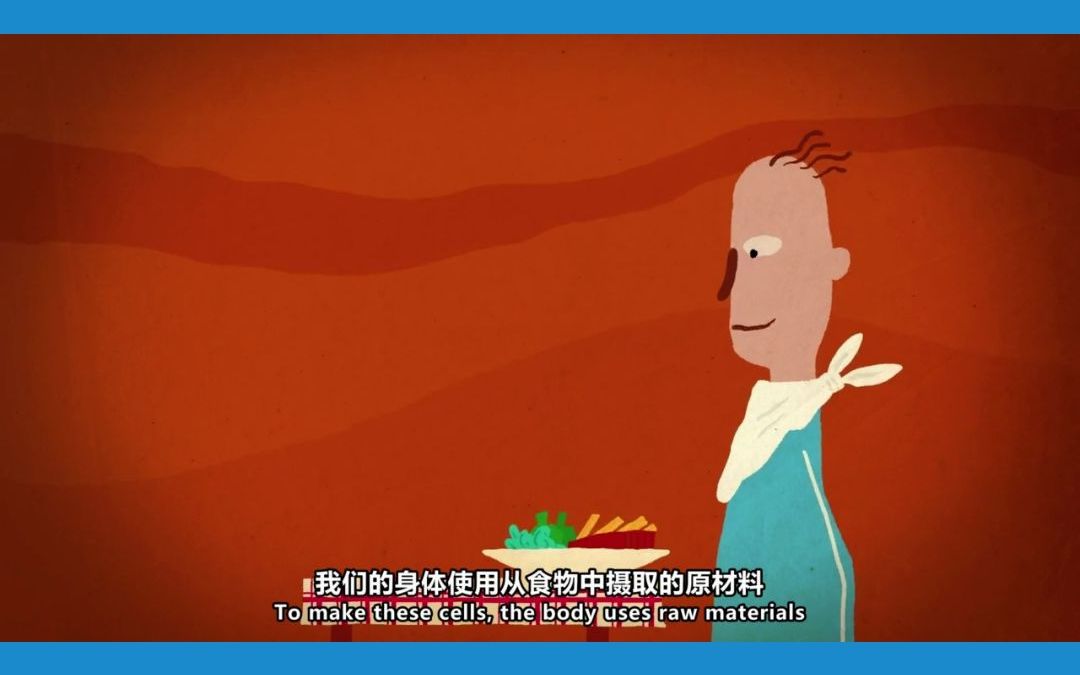 冷知识!来看看空气进入你体内后都经过了哪里?