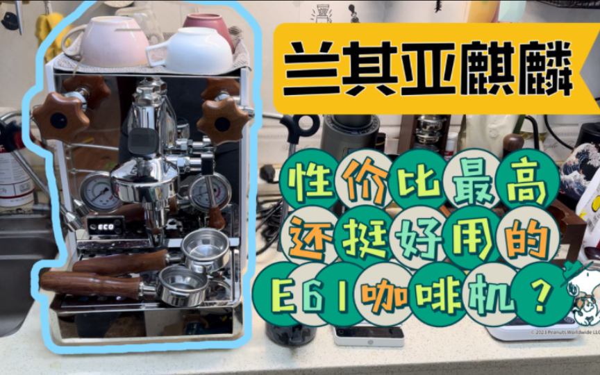 兰其亚麒麟详细测评,5k就能拥有e61冲煮头的高性价比咖啡机。