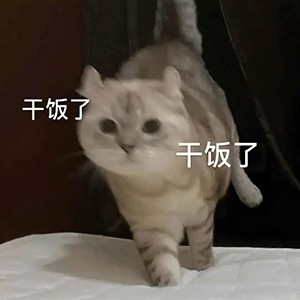 84259383922_bili 