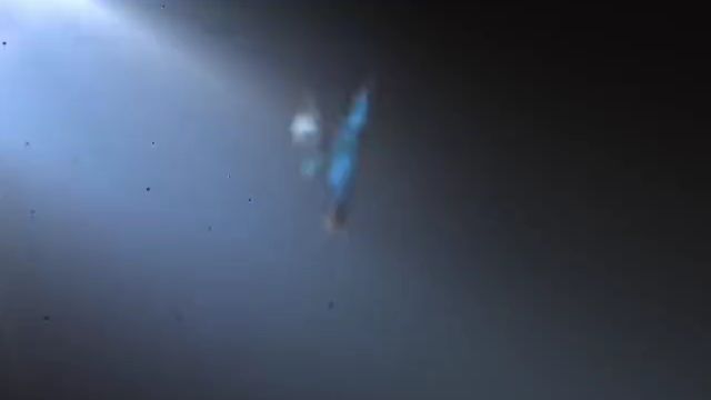 三星是真的吊1.08亿像素的移动传感器!捕获自然世界的微小细节!