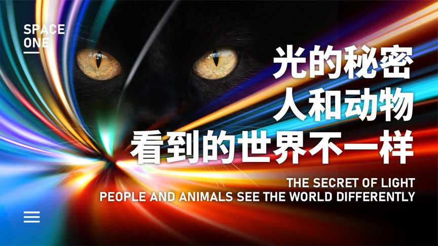 光的秘密:人和动物看到的世界,不一样!