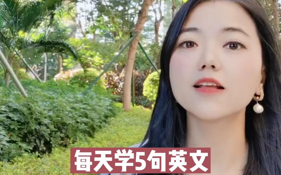 每天学5句英文