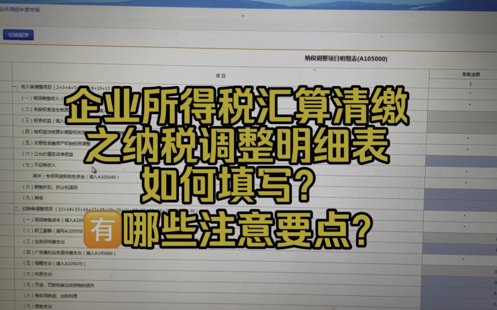 会计实操~企业所得税汇算清缴之纳税调整明细表,该如何填写,有哪些...