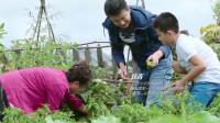 伊春森林旅游宣传片-爱如呼吸