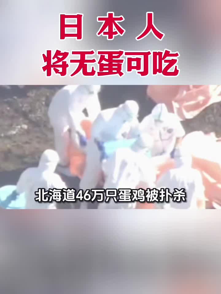 日本近期禽流感疫情肆虐,日本人将无鸡蛋可吃。