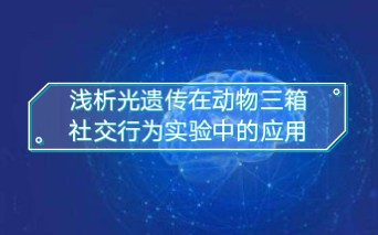 上海欣软开发的SuperMaze动物行为分析软件可以分析动物三箱社交...