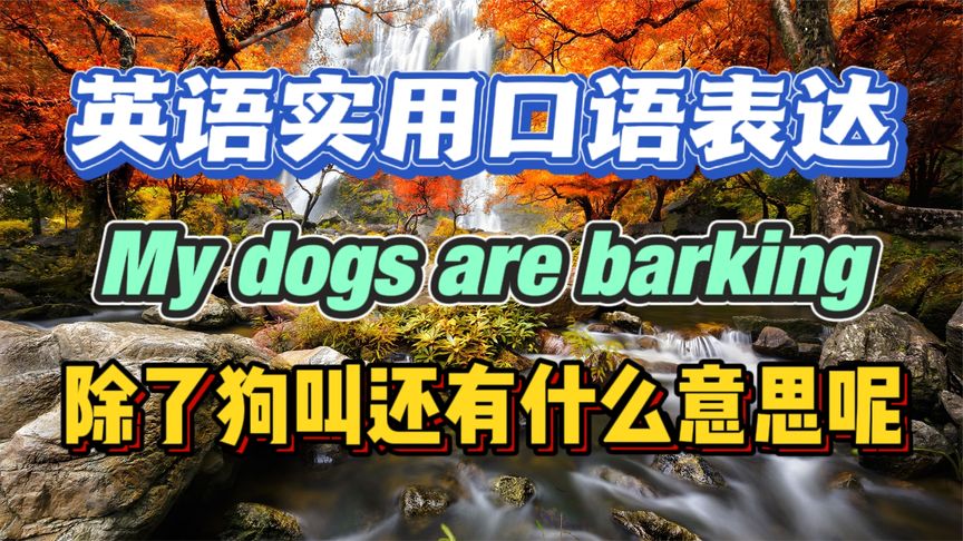 英语实用口语表达,My dogs are barking,除了狗叫还有什么意思
