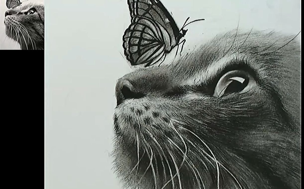 【动物素描】蝴蝶亲吻猫咪定格,绘画全过程。