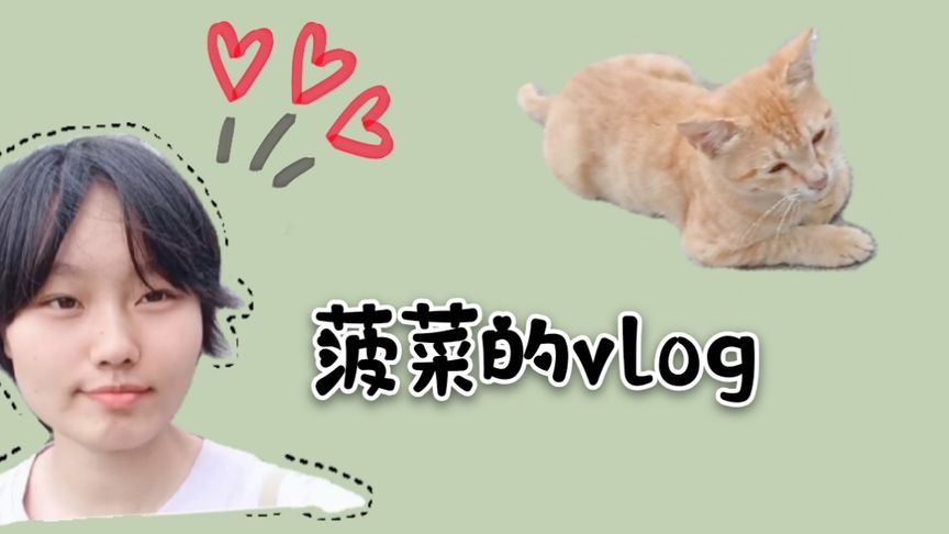 vlog2介绍自己家 ,别人数鸡数鸭数星星,我在农村逗猫逗狗逗兔子