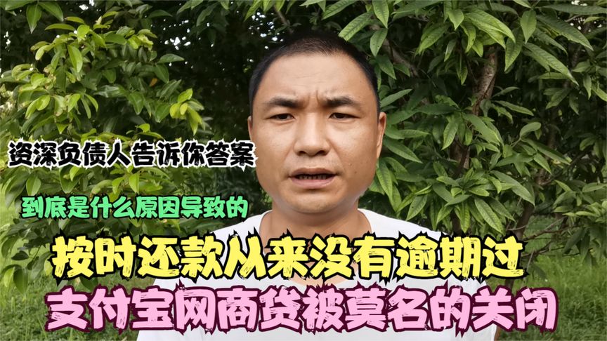 支付宝网商贷突然关闭,按时还款没有逾期,到底是什么原因导致的