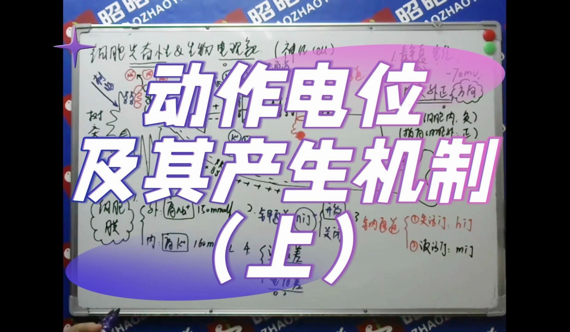 昭昭医学考研:动作电位及其产生机制(上)