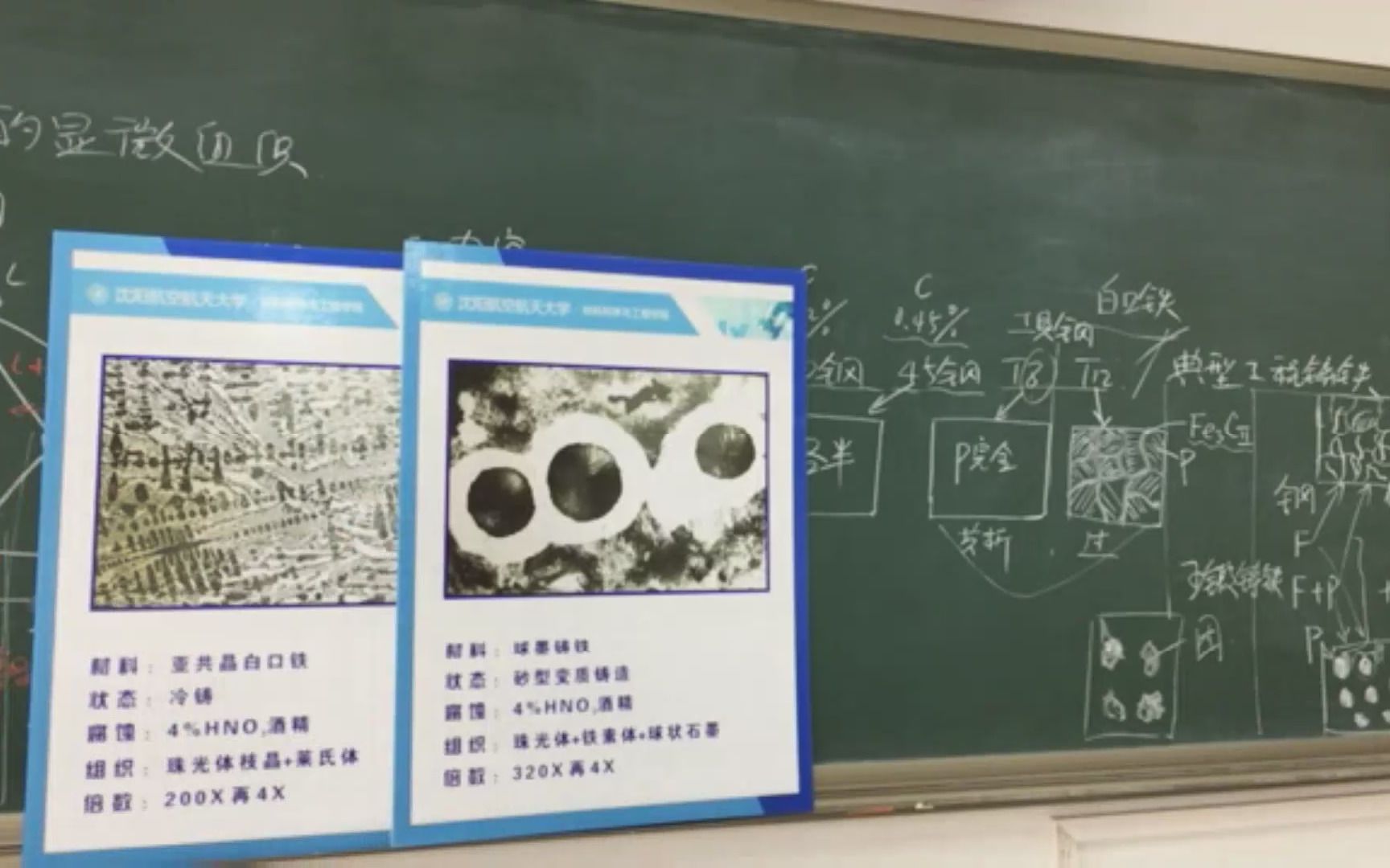 TM-铁碳合金在常温下的显微组织