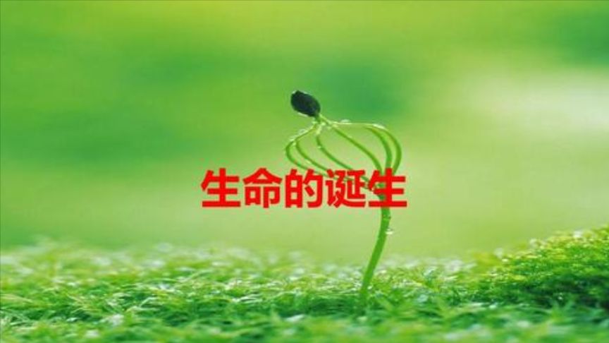 神奇的生物(二)生命的诞生是偶然吗?