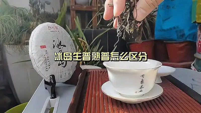 冰岛生普熟普怎么区分