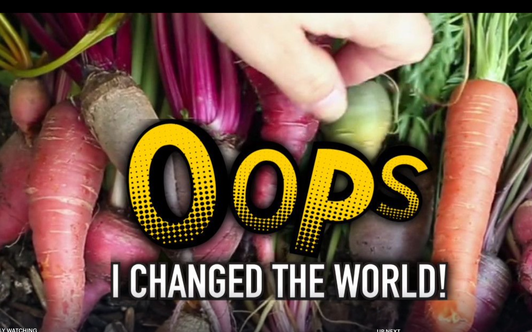 好奇流-《偶然大发现》甜蜜的成功 Curiosity Stream - Oops, I Changed ...