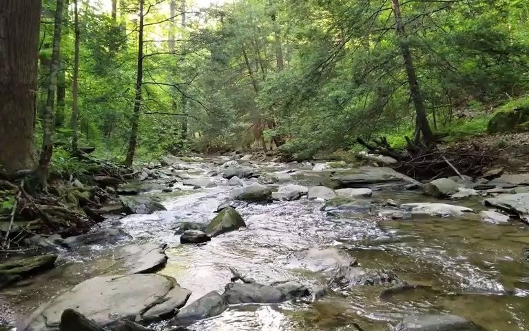 【正念冥想】停止拖延 ▸ 励志肯定语 ▸ 把事情做好 ▸ 实现你的目标