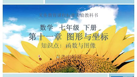 青岛出版社五四分段初中数学七年级下册第十一章函数与图像