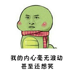say哈利路亚 