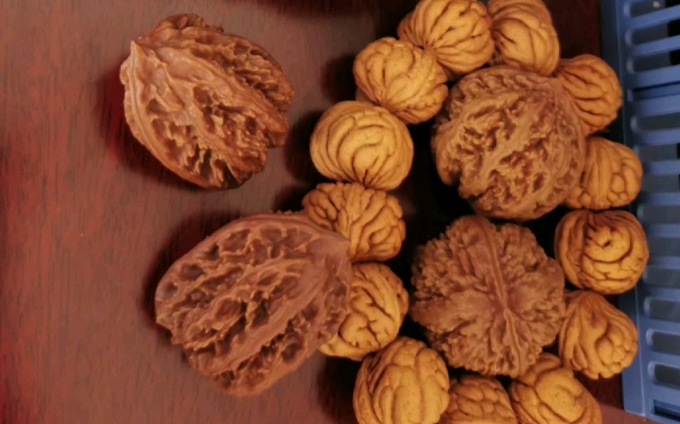 易中夫老师讲文玩手串的盘玩方法之绕指柔