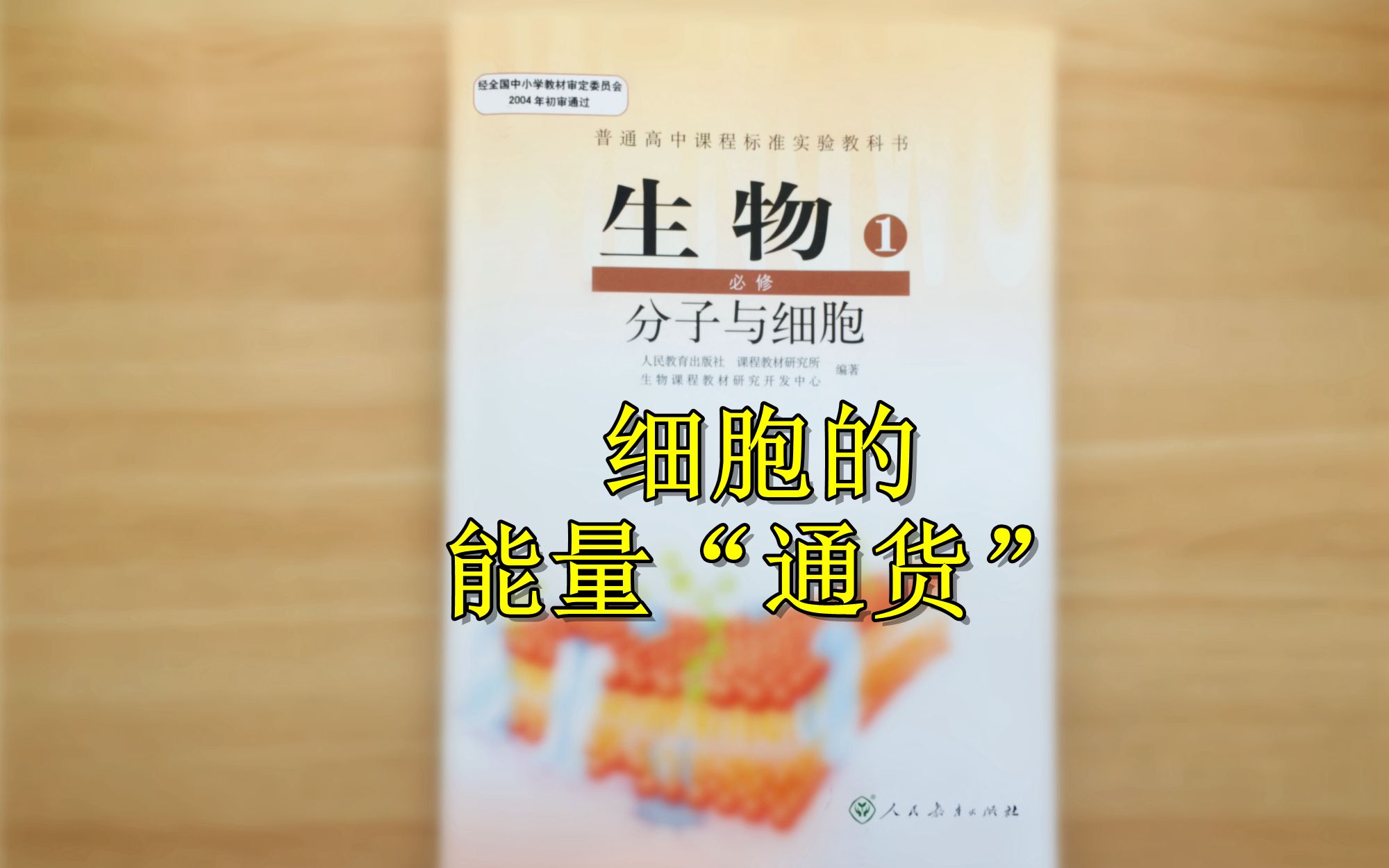 高中生物(必修1)5.2 细胞的能量“通货”:ATP