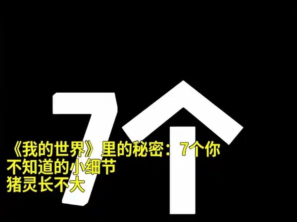 《我的世界》里的秘密:7个你不知道的小细节,猪灵长不大?