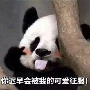 上天入地小臭宝 