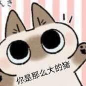 酒馆刺客233 