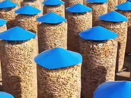 玉米芯的传奇:你不知道的种种用途!