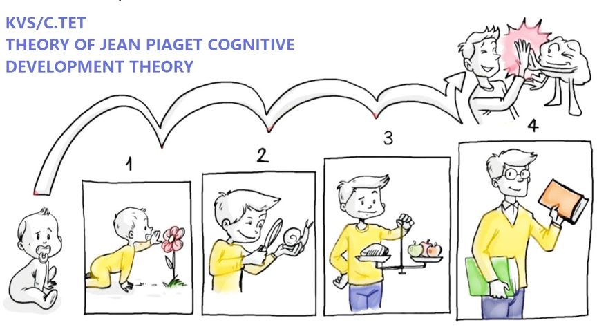 涨知识:皮亚杰的认知发展阶段理论!