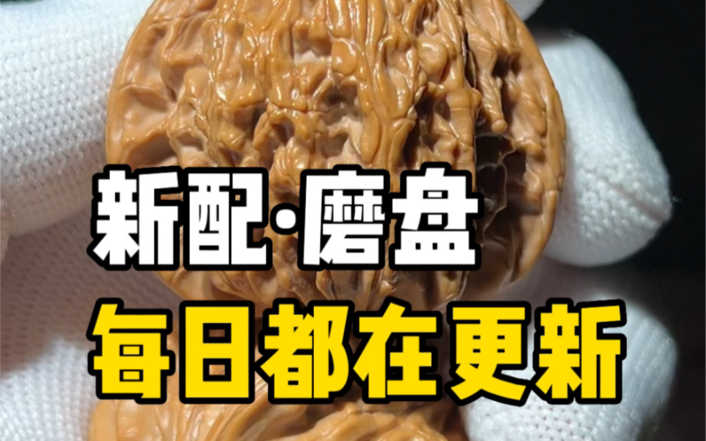 新配的一批磨盘 每天都在更新