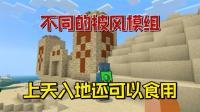 我的世界:不同的披风模组,上天入地饿了还能啃一口