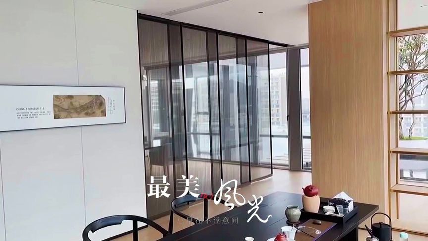 #极窄吊轨推拉门 #极窄联动移门 #电动智能极窄联动推拉门